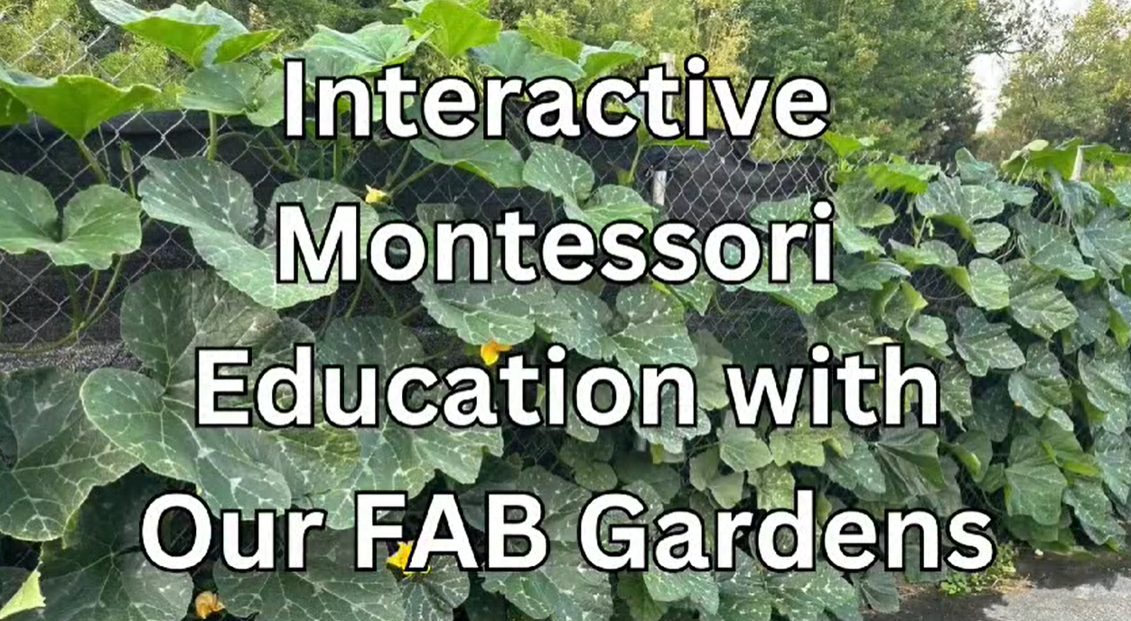 Interactive Montessori Education with Our FAB Gardens - The Family ...